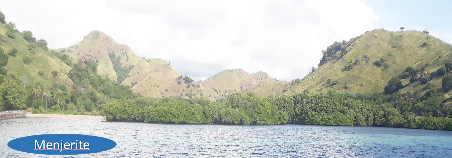 Die Insel Menjerite bei Komodo Reisen auf Deutsch zum Komodo Park ist ...